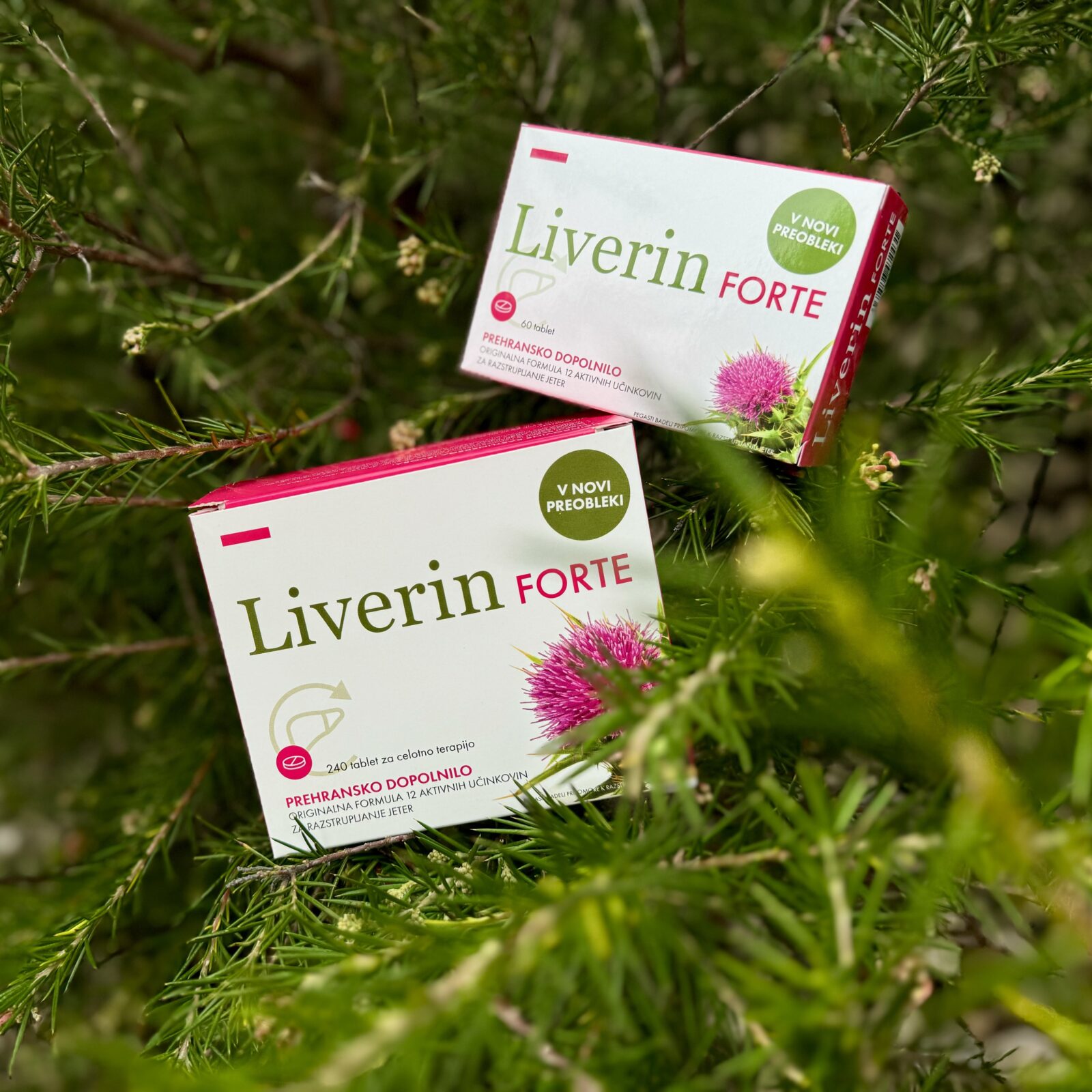 LIVERIN FORTE - Sanofarm d.o.o.